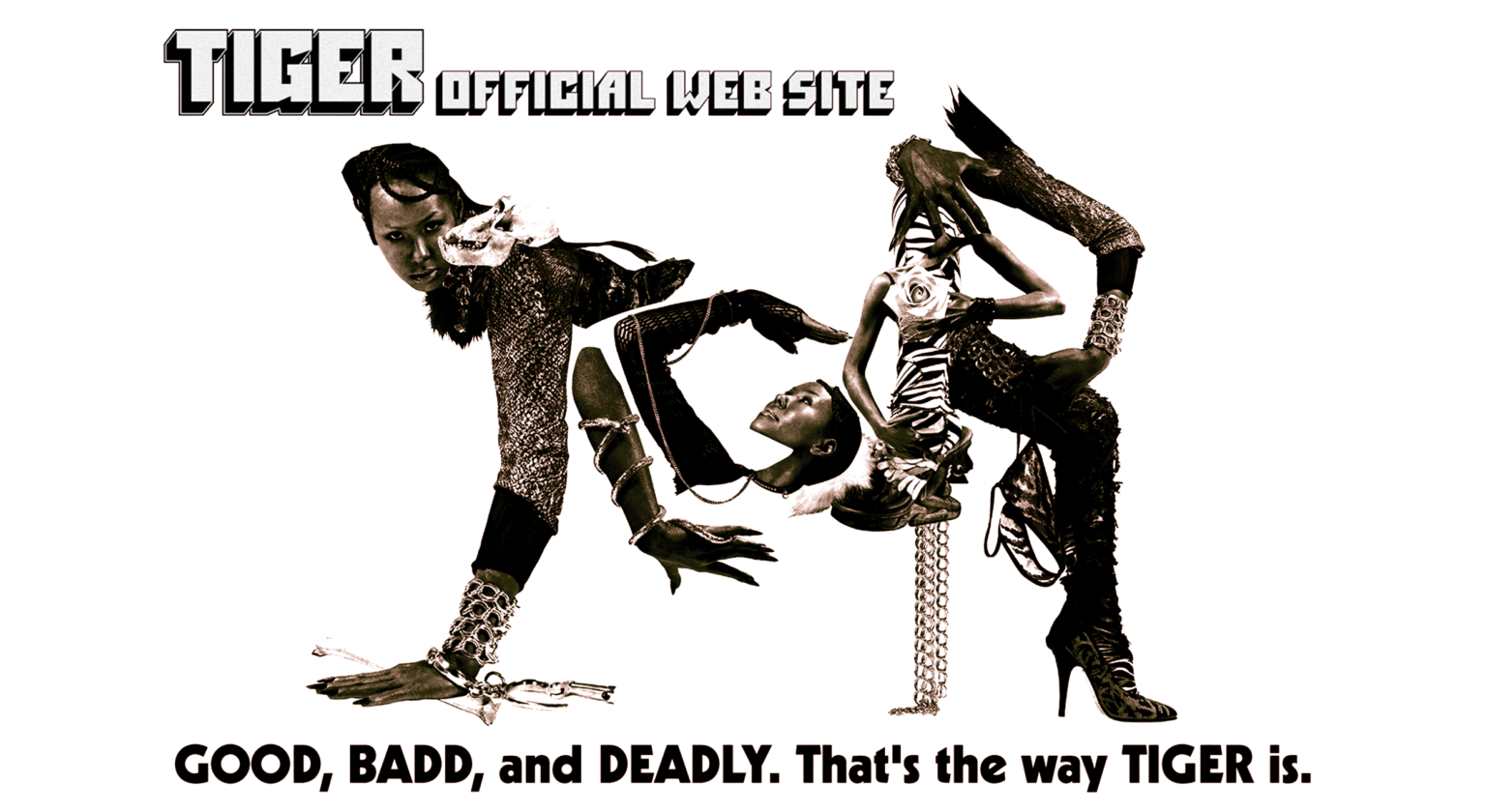 Tiger Official Site