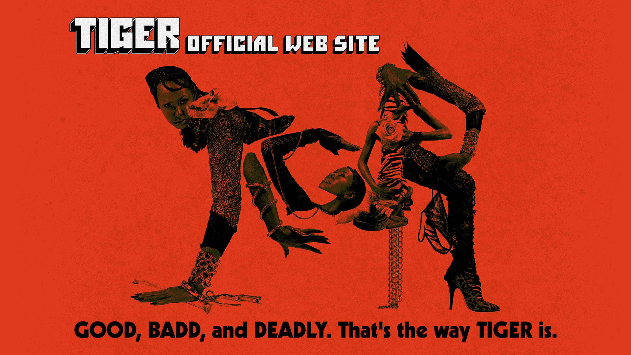 WORKS - Tiger Official Site